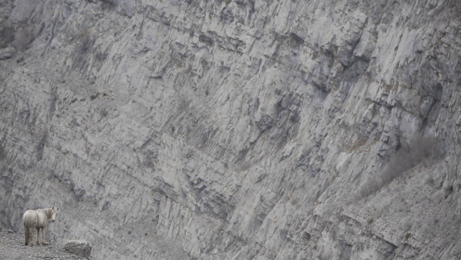 Svetska premijera filma "Slatko od Ništa" u Lukarnu - Kultura - Dnevni list Danas