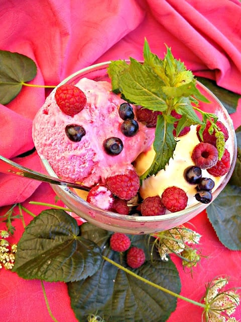 Recept nedelje: Jogurt sladoled - Recepti - Dnevni list Danas