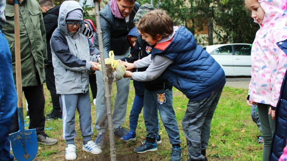 U akciji Posadi svoj hlad na Zvezdari biće posađeno 600 sadnica belog ...