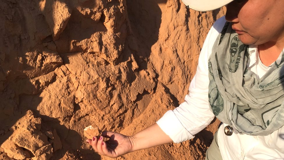 Dinosaurusi i pustinja Gobi: Zemlja drevnih stvorenja - BBC News na ...