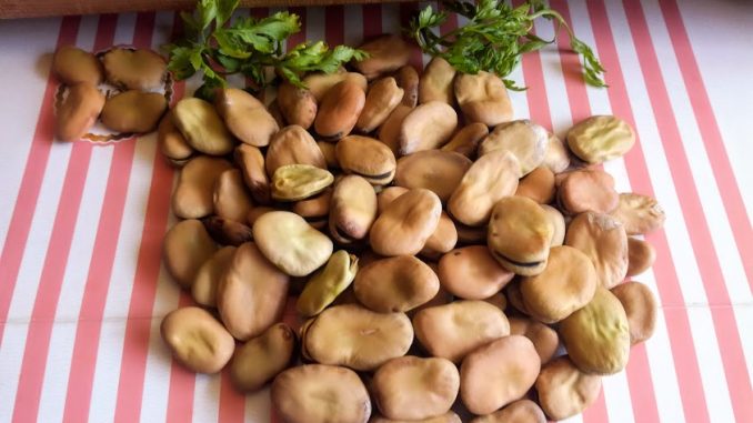 Bob - fava pasulj kao humus (recept) - Život - Dnevni list Danas