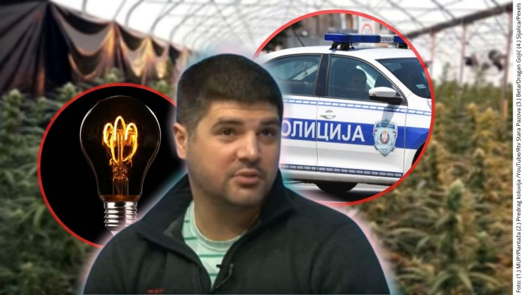 Koluvija tvrdi da je policija proizvodila kanabis u Jovanjici - Društvo ...