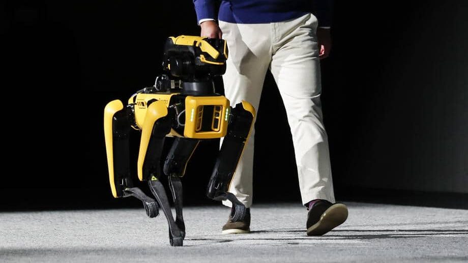 Pas robot otkriva kvarove u bečkoj elektrani - Društvo - Dnevni list Danas