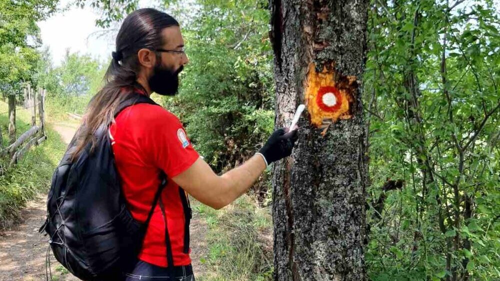 PK "Tornik" markira nove staze u selu Jablanica - Društvo - Dnevni list ...