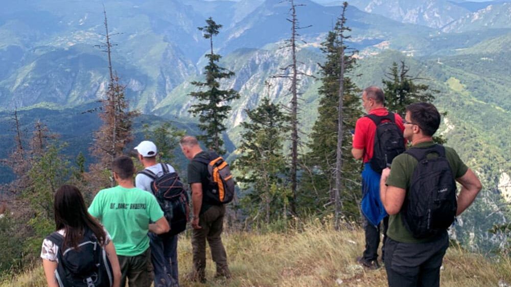 Nakon prošlogodišnjeg požara na Tari, u toku je zaštita Pančićeve ...