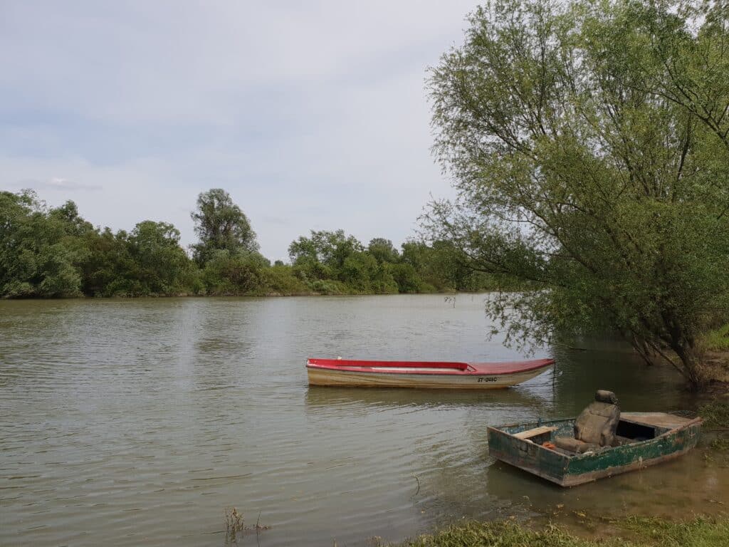 Tamiš najčistija reka za kupanje u srednjem Banatu - Društvo - Dnevni ...