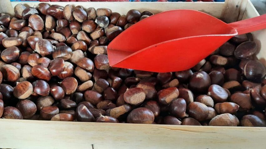 Jesenji delikates, slatki kesten pečen ili kuvan (RECEPT) - Recepti ...