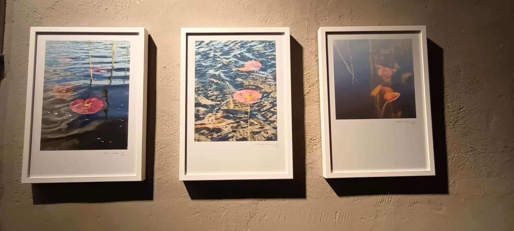 Otvorena izložba fotografija autorke Nataše Komatine u Beogradu, pod ...