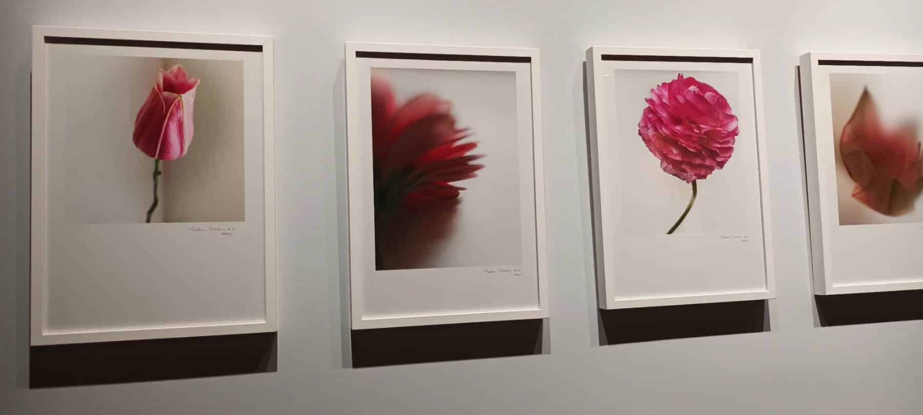 Otvorena izložba fotografija autorke Nataše Komatine u Beogradu, pod ...