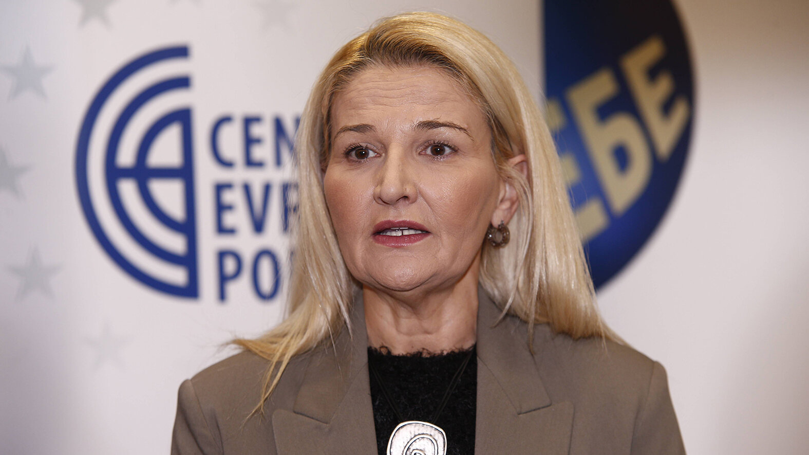 Ministarka za evropske integracije: Nemačka najveći investitor i ...