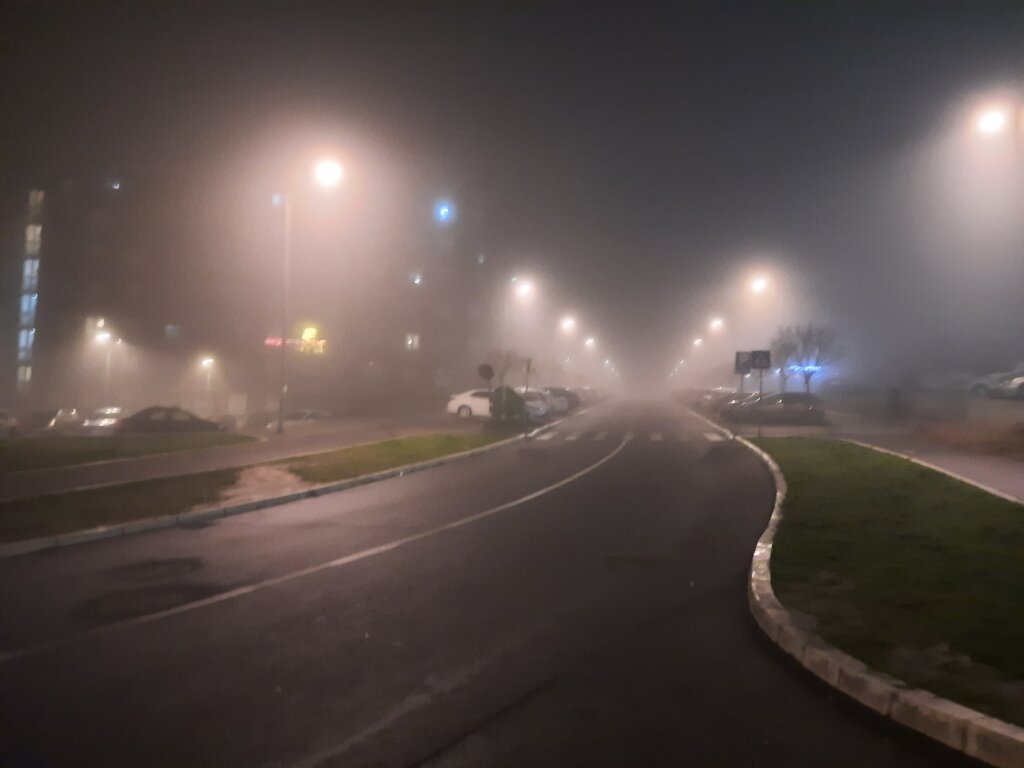 Šta je rosulja i kakve veze ima sa zagađenjem? - Klimatske promene ...
