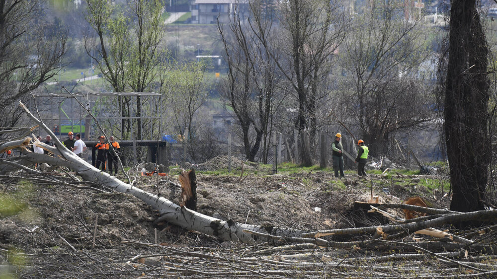 Kako će izgledati "Novi Sad na vodi": Planira se izmeštanje i dogradnja ...