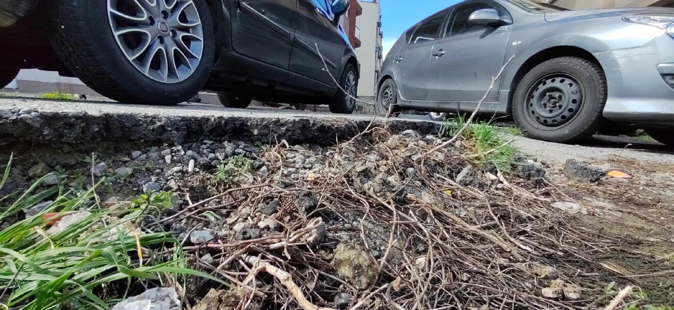 "Asfalt puca, kanalizacija se izliva": Zašto stanari u beogradskom naselju Mirijevo strahuju od ...