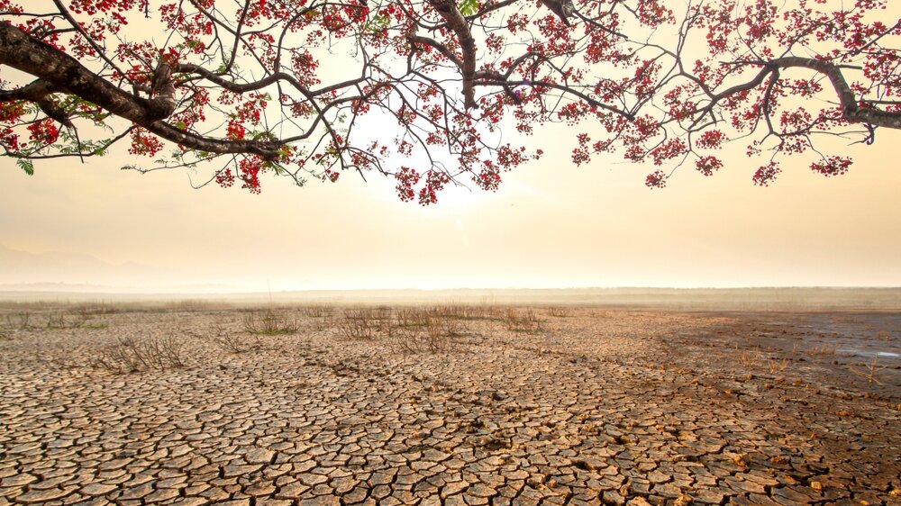 El Ninjo se vraća - Svet - Dnevni list Danas