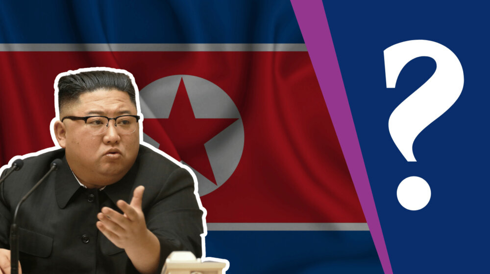 Severna Koreja idealna destinacija za pobunjene građane Srbije: Gde bi funkcionerka SNS poslala ...