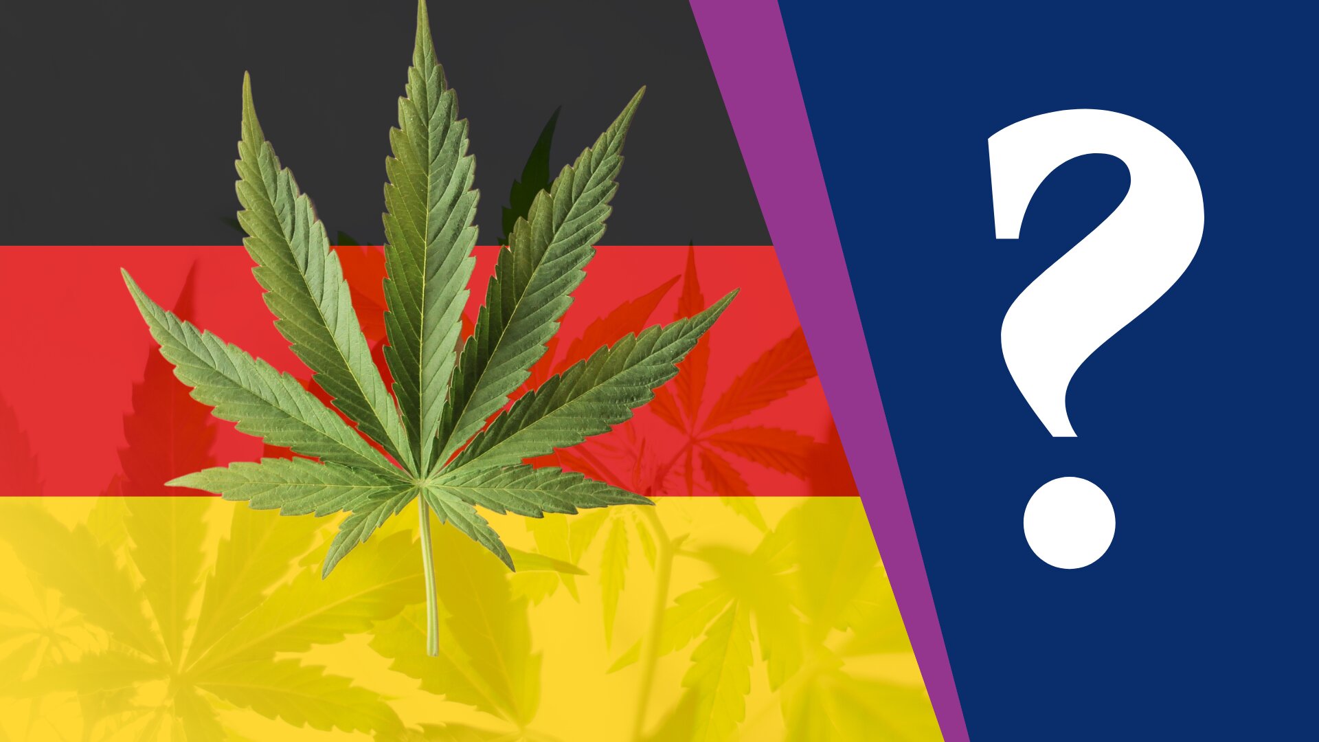 "Logičan, praktičan i civilizacijski postupak": Sagovornici Danasa o legalizaciji kanabisa u ...