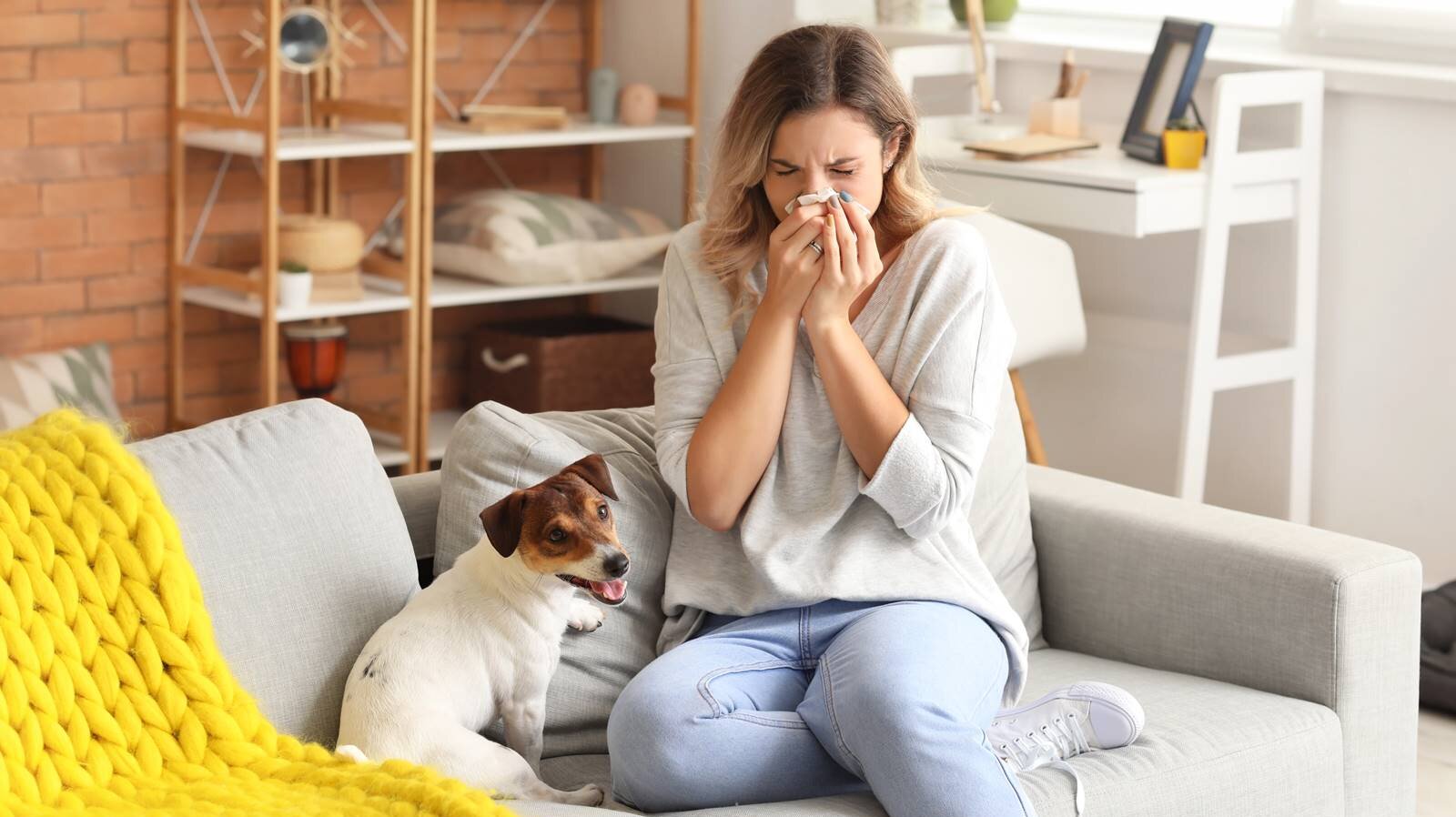 Evo šta sve u vašem domu može da izazove kijanje - Život - Dnevni list ...