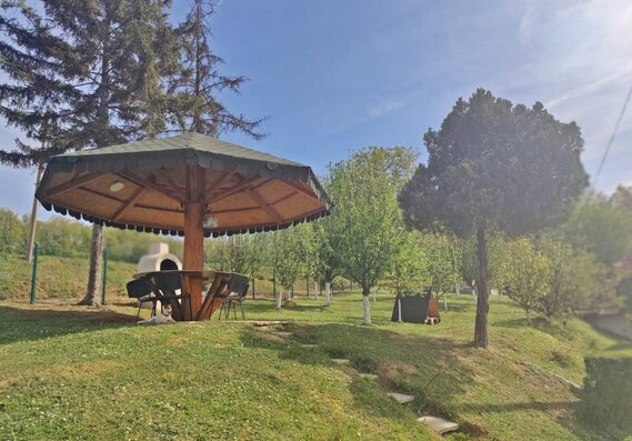 Ivana i Dragan su se sa decom preselili na selo: Vratili su se u dedovinu i otvorili Muzej šume ...