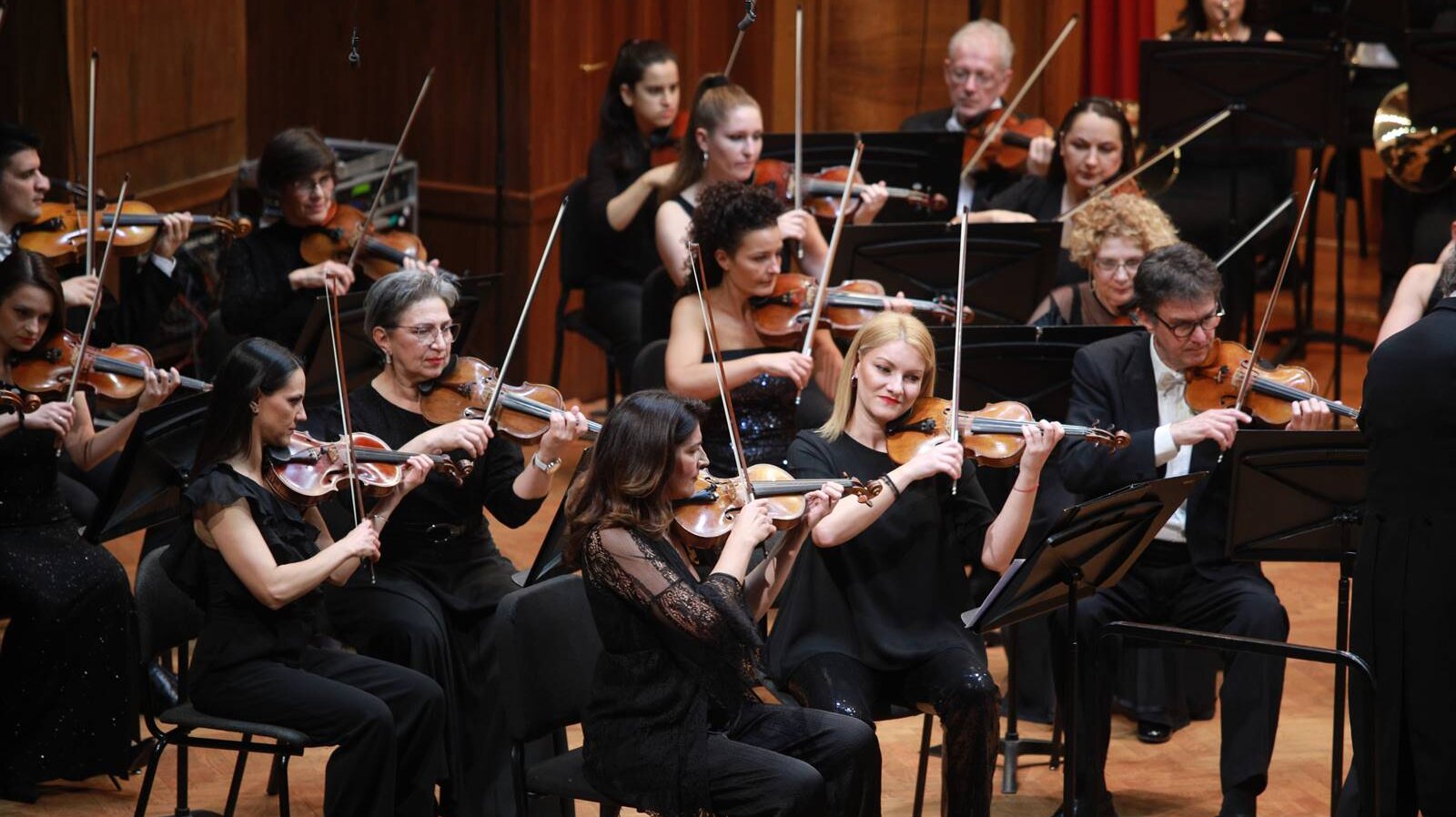 Beogradska filharmonija ponovo organizuje koncerte za bebe - Kultura ...