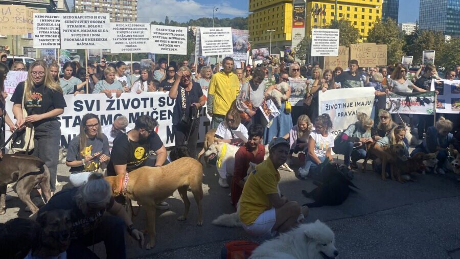 Protest zbog mučenja i ubistva psa u Sarajevu - Region - Dnevni list Danas