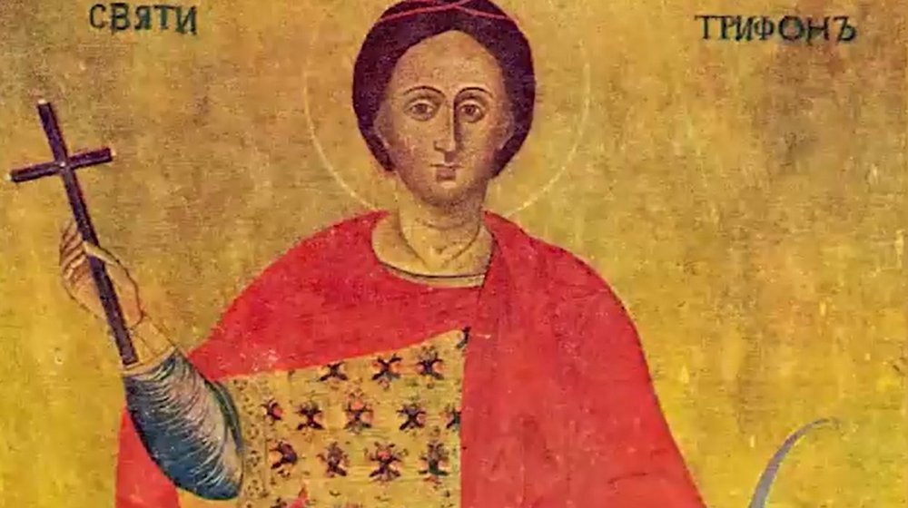 Danas se slavi Sveti Trifun, ali i Dan zaljubljenih - Naslovi.net